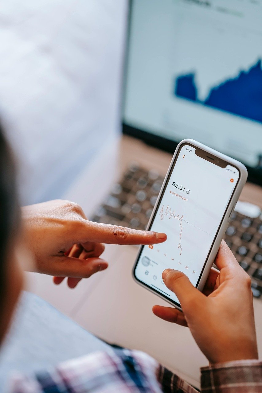 Redovne akcije: Šta su Common Shares? definicija Investidia